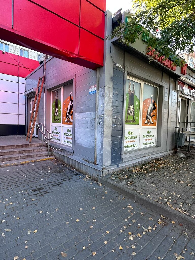 Petshop Mir khvostatykh, Perm, foto