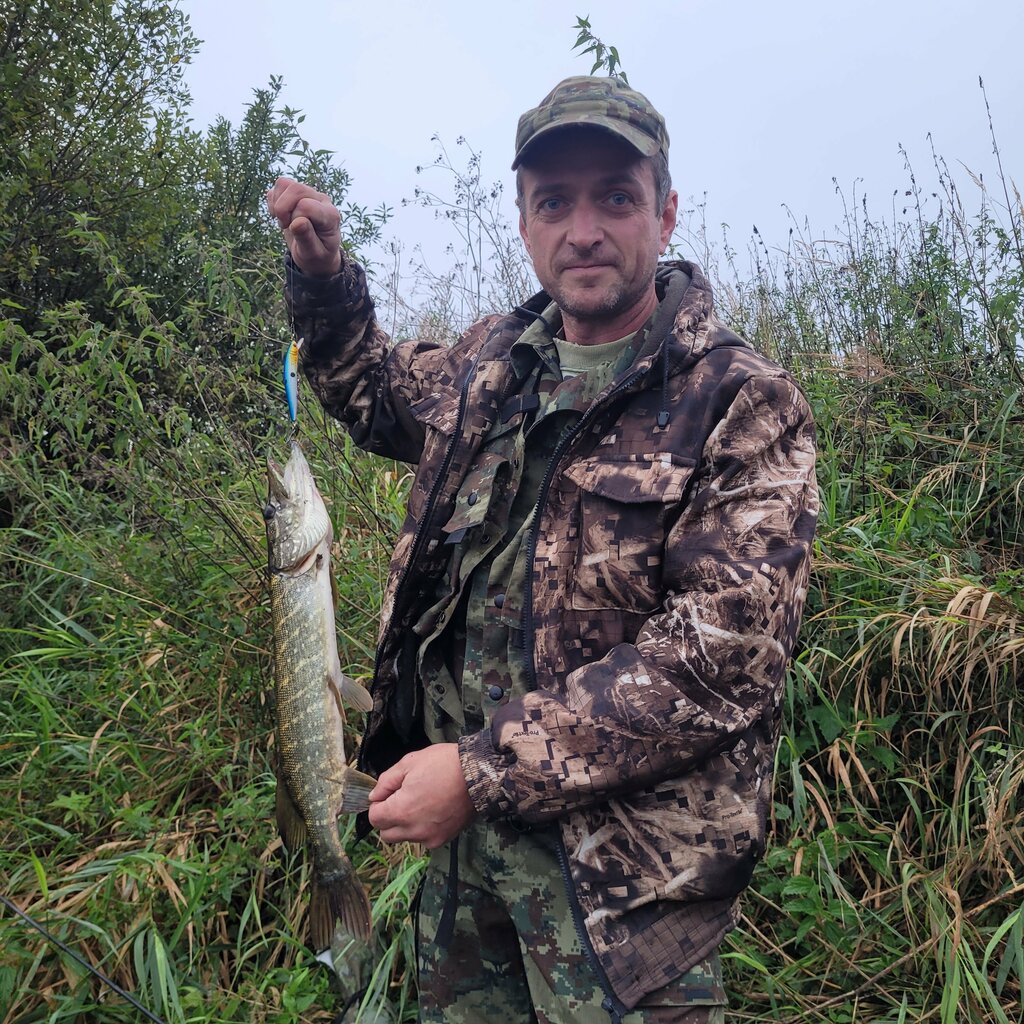 Balık çiftçiliği ve toptancıları Rybkhoz Shirokovo, İvanovskaya oblastı, foto
