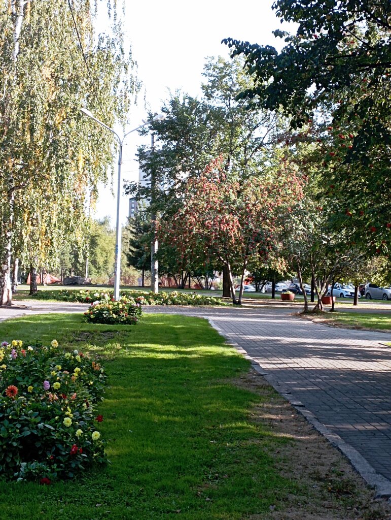 Meydan Сквер имени Чаплыгина, Novosibirsk, foto