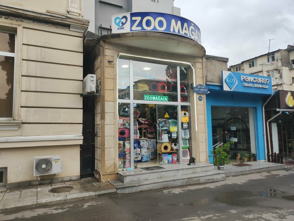 Petshop Zoo mağaza, Bakü, foto