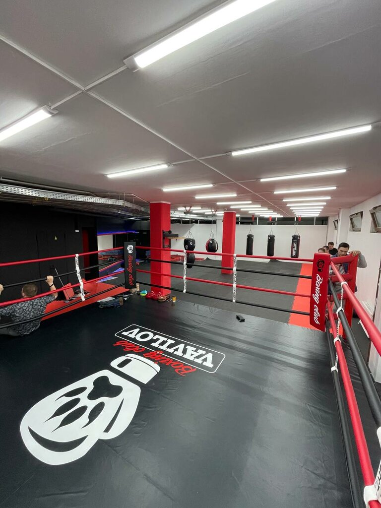 Spor kulüpleri Vavilov, Moskova, foto