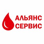 Alliance-service (Maliy Vasilyevskogo Ostrova Avenue No:66к2), express yağ değişim noktası  Saint‑Petersburg'dan