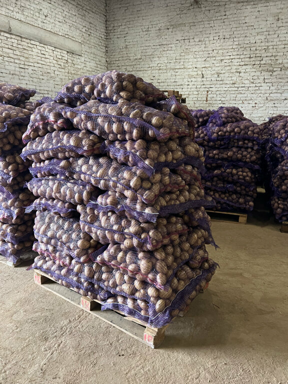 Toptan sebze ve meyve satışı Проект Наро-Фоминские овощи, Moskova ve Moskovskaya oblastı, foto