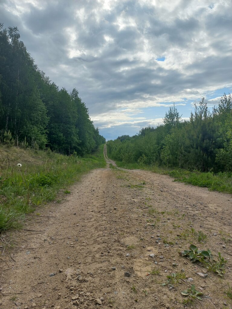 Turistik yerler Колтушский веломаршрут, Saint‑Petersburg ve Leningradskaya oblastı, foto