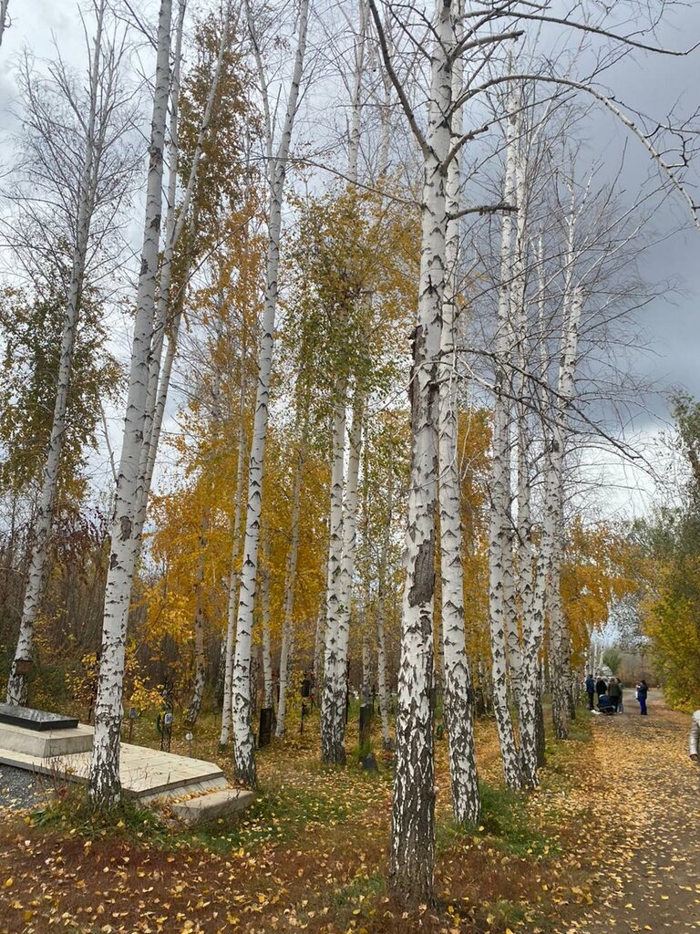 Mezarlıklar Братская могила репрессированных, Orenburg, foto