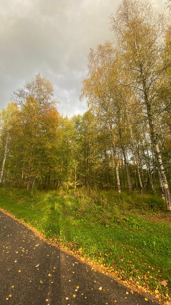Kültür ve eğlence parkları Парк у Вишерки, Malaya Vishera, foto