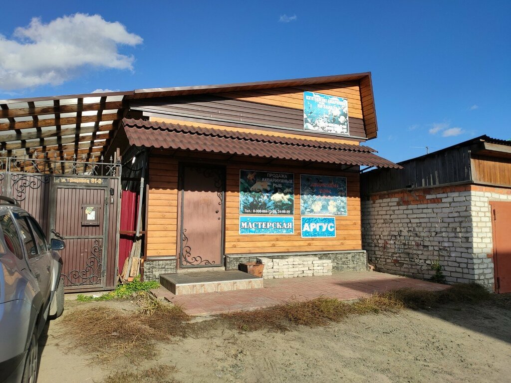 Akvaryumlar Аргус, Kurgan, foto