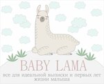 Baby Lama (Nikolay Ershov Street No:1А), çocuk mağazaları  Kazan'dan