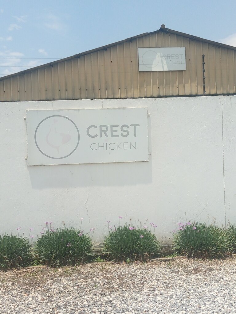 Kanatlı hayvan ürünleri ve yumurta Crest Chicken, Lusaka, foto