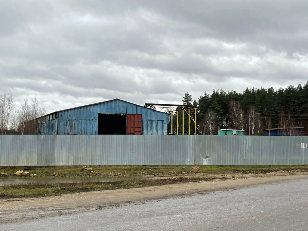 Ahşap endüstrisi Деревообрабатывающее предприятие, Riazanskaya oblastı, foto