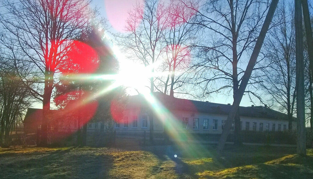 Ortaokul Кузнецовская средняя общеобразовательная школа, Pskovskaya oblastı, foto