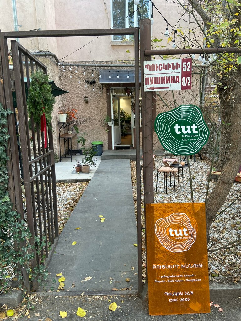 Çiçekçiler Tut. plantstore, Erivan, foto
