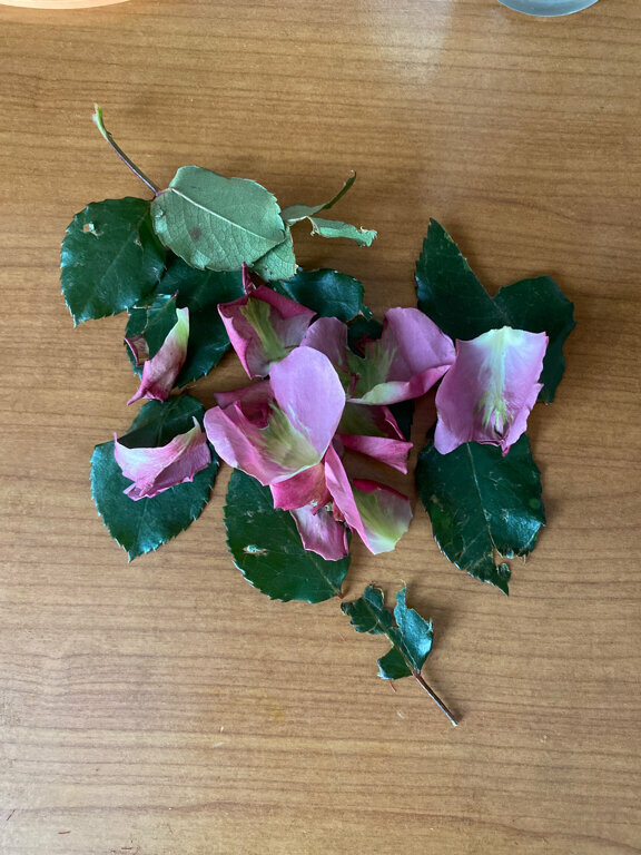 Çiçekçiler Flower shop, Dolgoprudny, foto