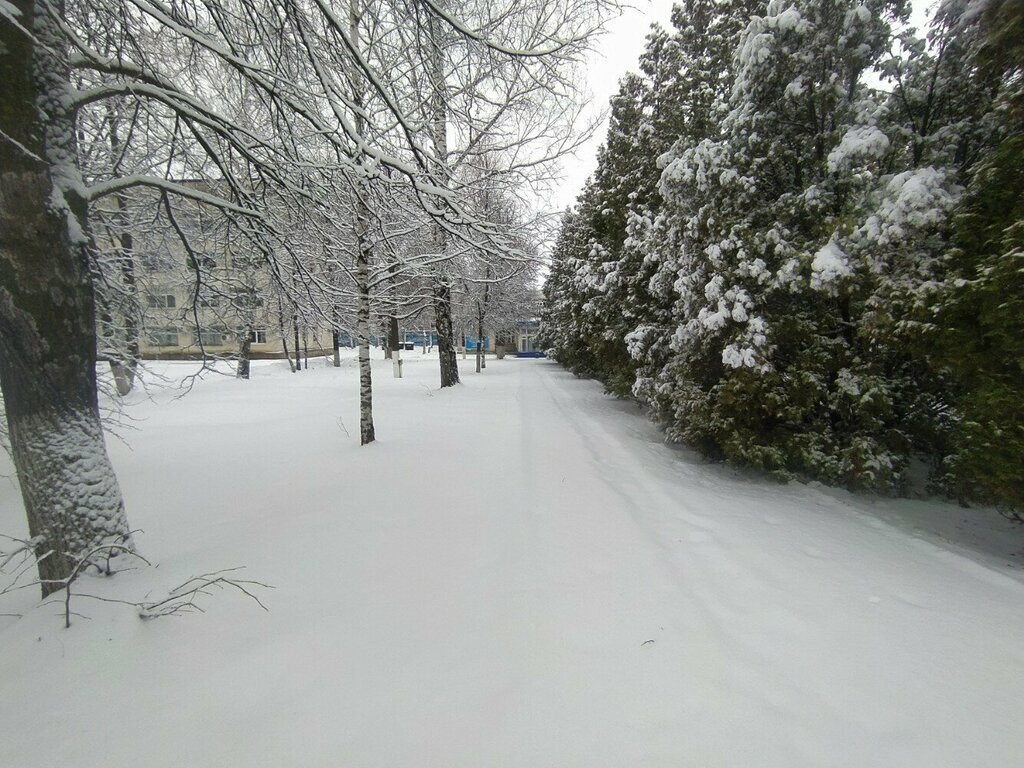 Sanayi kuruluşu Экосити, Saransk, foto