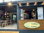 Coffee Lama (Prosvescheniya Street No:128В), kahve dükkanları  Soçi'den