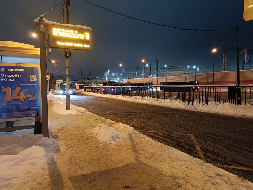 Toplu taşıma durağı МЦД Солнечная, Moskova, foto