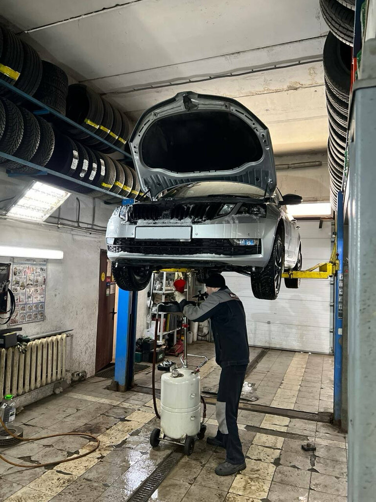 Otomobil servisi Эльбрус авто, Domodedovo, foto