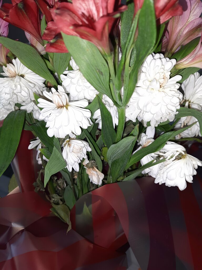 Çiçekçiler Цветы, Krasnoyarski krayı, foto