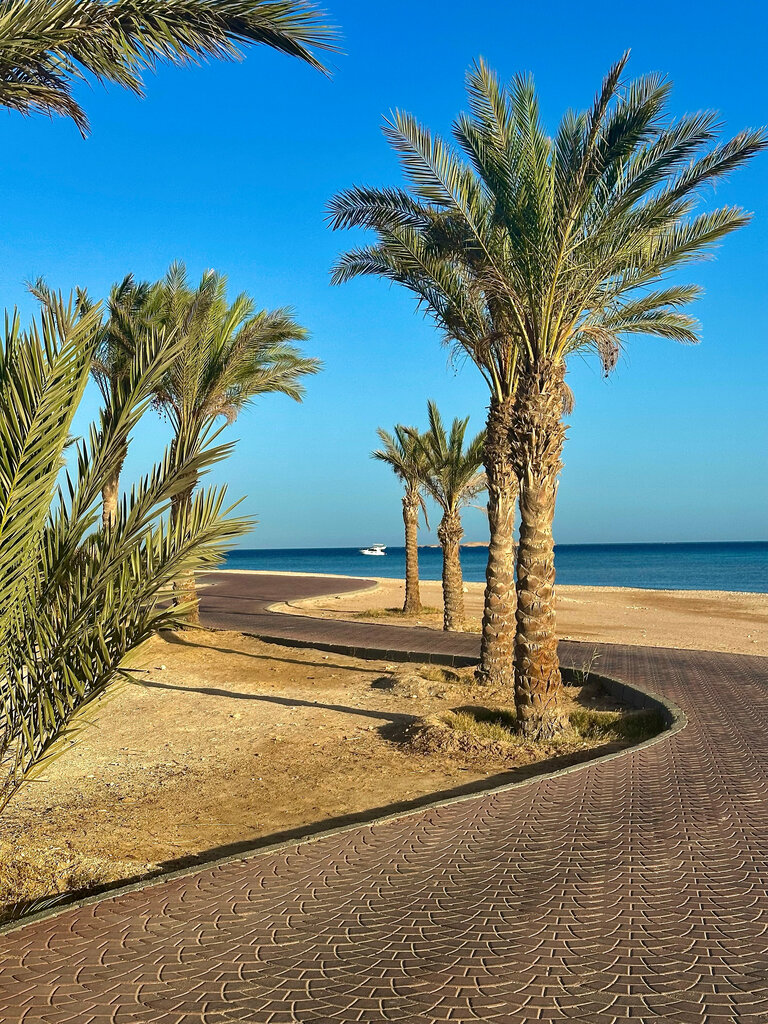 Seyahat acenteleri Первое Турагентство Новоселья, Saint‑Petersburg ve Leningradskaya oblastı, foto