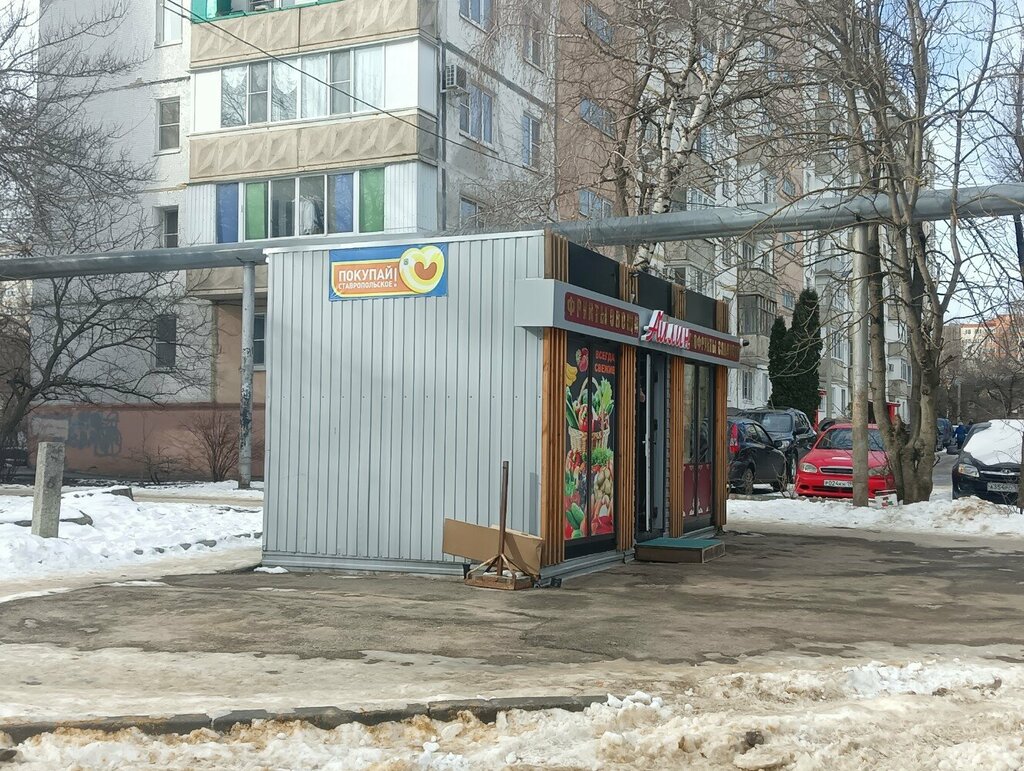 Manavlar Айлин, Stavropol, foto
