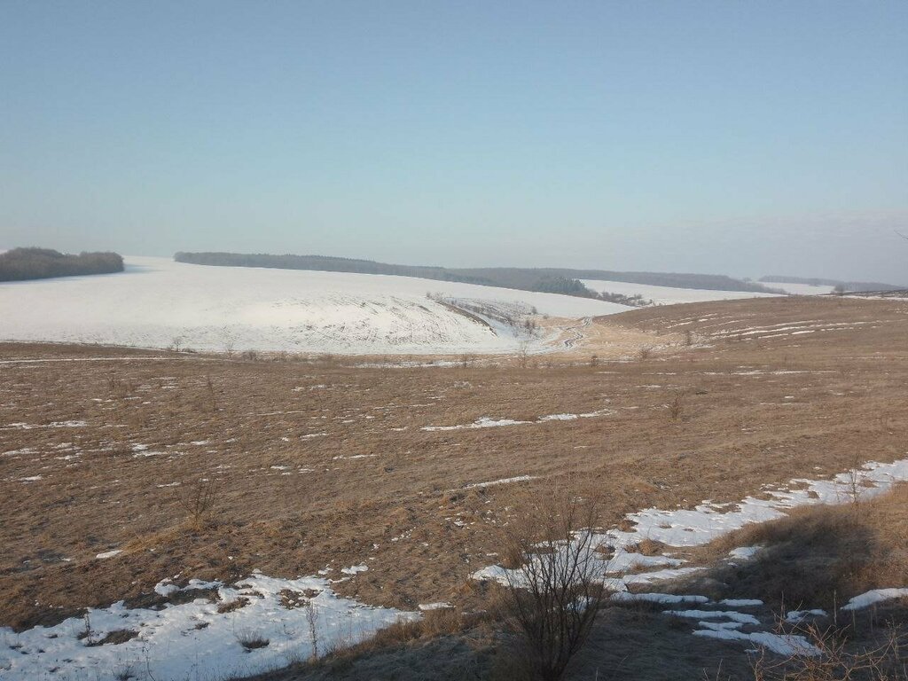 Orman Круглый лес, Belgorodskaya oblastı, foto