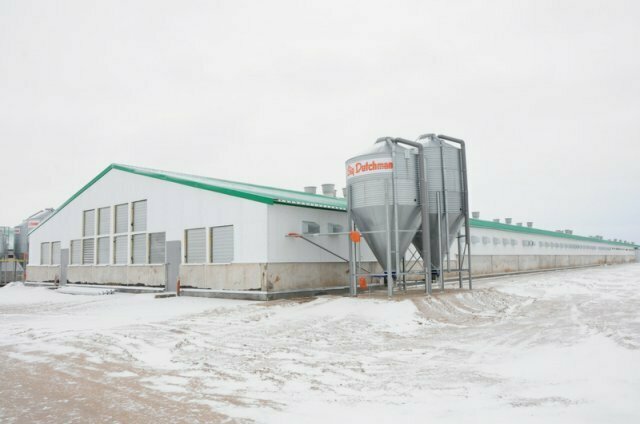 Hayvancılık Свинокомплекс Хвалынский, Saratovskaya oblastı, foto