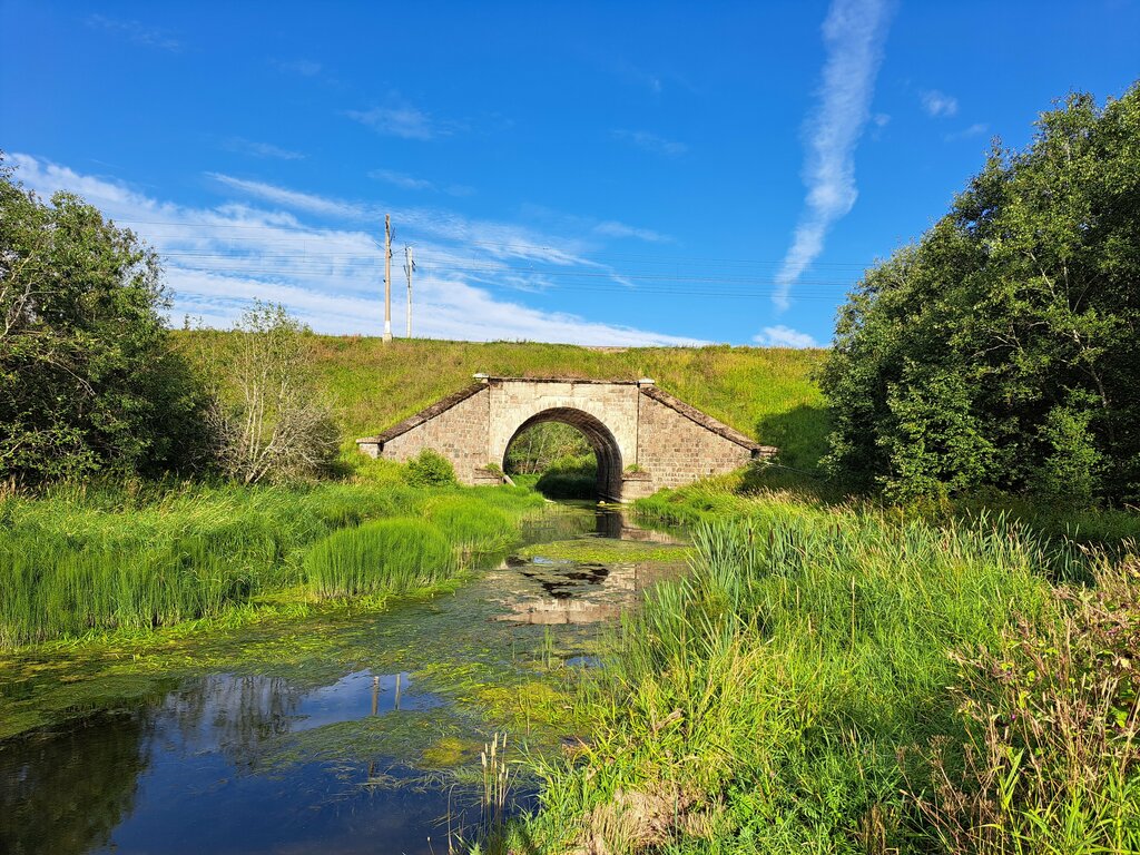 Plaj Пляж, Saint‑Petersburg ve Leningradskaya oblastı, foto
