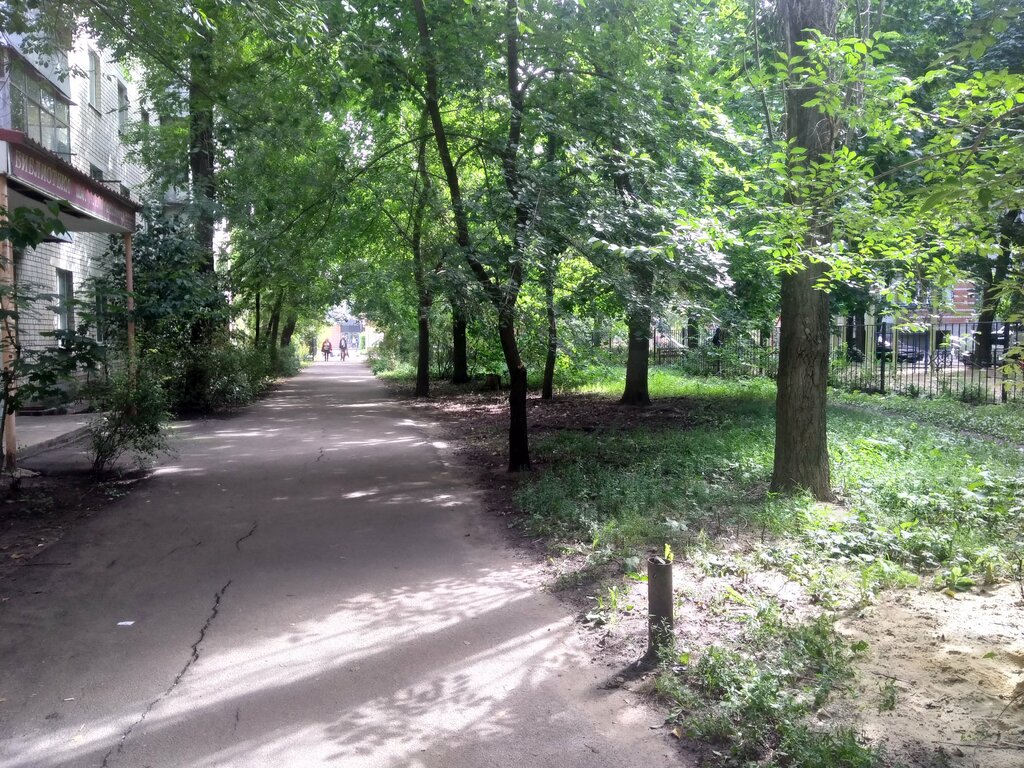 Meydan Бульвар Шишкова, Voronej, foto