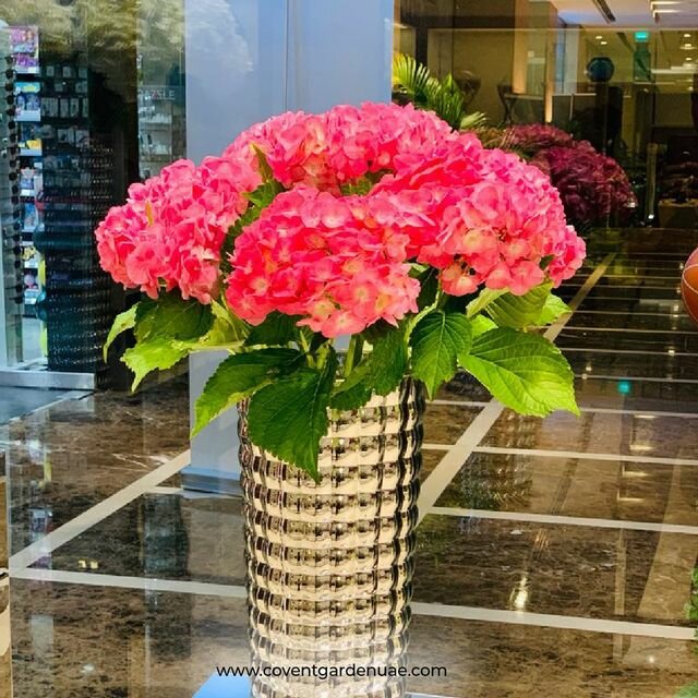 Çiçekçiler Covent Garden, Dubai, foto