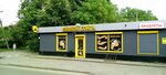 Mechta (Krasnaya Street No:262), bira dükkanı  Kaliningrad'dan