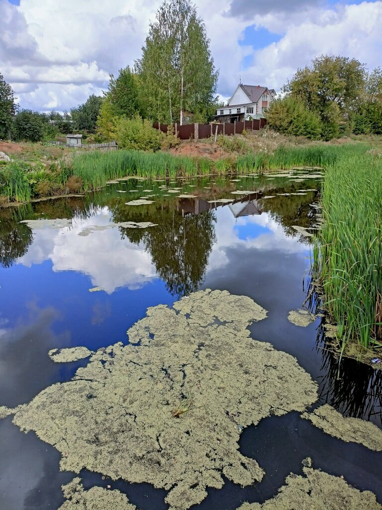 Kültür ve eğlence parkları Юбилейный парк, Udmurtiya, foto