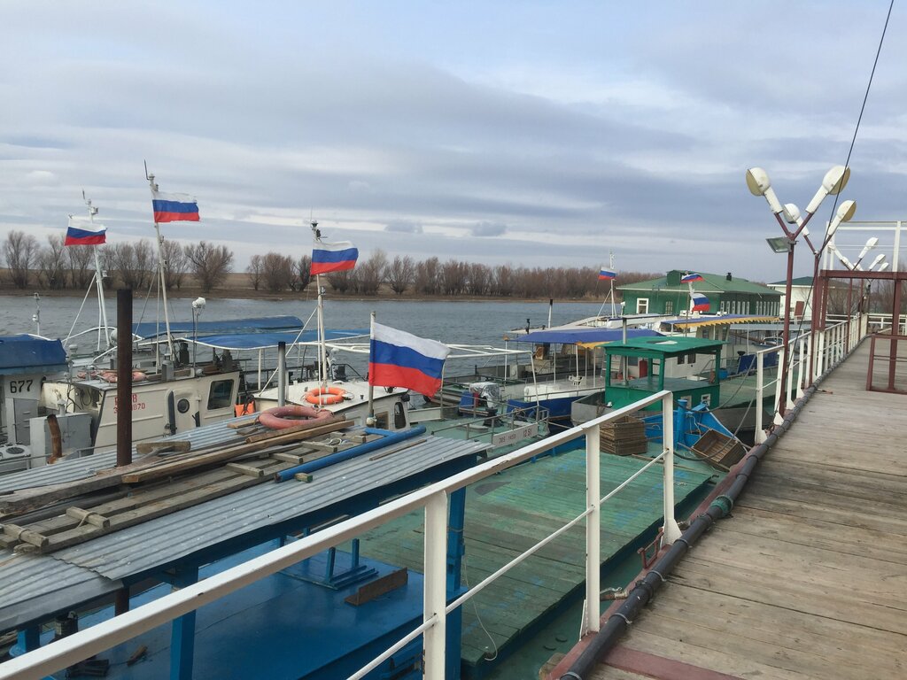 Balık ve deniz ürünleri Chelyuskinets Export, Astrahan, foto