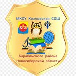 Козловская средняя общеобразовательная школа (Tsentralnaya ulitsa No:4, selo Novokozlovskoye), ortaokul  Novosibirskaya oblastından