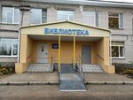 Kholmogorskaya rayonnaya biblioteka im. M. V. Lomonosova (ulitsa Shubina No:22А, selo Kholmogory), kütüphaneler  Arhangelskaya oblastından