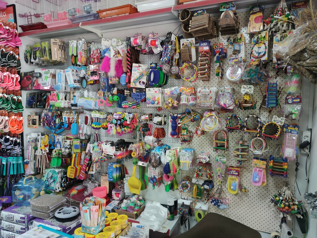 Petshop Alkan Petshop ve Pet Kuaför, Gebze, foto