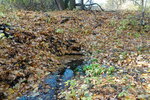 Spring, stream (munitsipalnoye obrazovaniye Saratov, Aleksandrovskoye munitsipalnoye obrazovaniye), pınar, çay  Saratovskaya oblastından