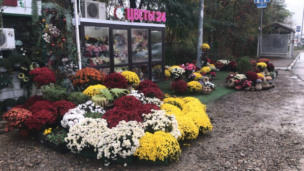 Çiçekçiler Wonderful Garden, Krasnodar, foto