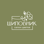 Shipovnik (Svetlanskaya Street No:109), çiçekçiler  Vladivostok'tan