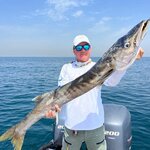 ABSea Yachts & Boats Rental LLC (12, Al Hubob Street, Dubai Marina, Jumeirah, Dubai), i̇pli oyun park  Dubai'den