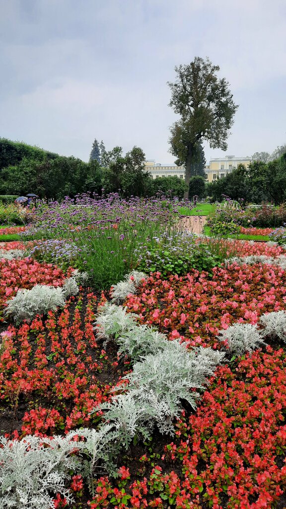 Doğa Собственный садик, Moskova ve Moskovskaya oblastı, foto