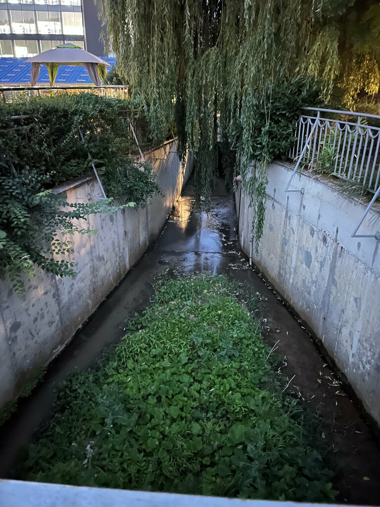 Emlak ofisi Недвижимость Варна Botanica VIP Residence, Varna, foto