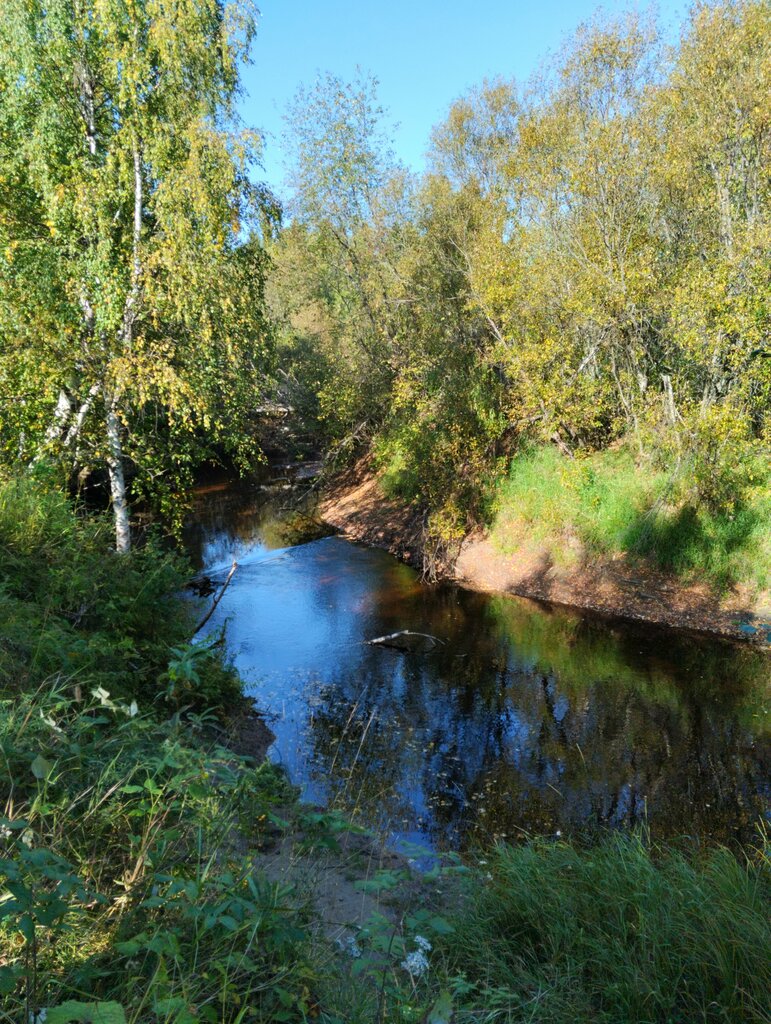 Pınar, çay Spring, stream, Arhangelskaya oblastı, foto