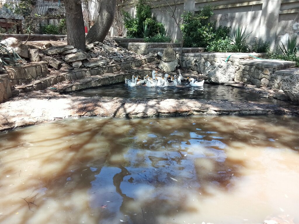Otel Nimfey, Kerç, foto