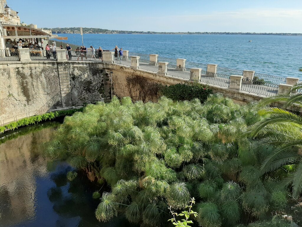 Müzeler ve sanat galerileri Fonte Aretusa, Syracuse, foto