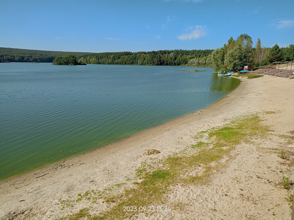 Orman урочище Липки, Belgorod, foto