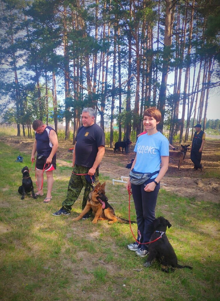 Evcil hayvanlar için ürünler Dressirovka sobak, Nijni Novgorod, foto