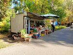 Ovoshchnoy magazin (Revolutsionnaya Street No:54), manavlar  Samara'dan