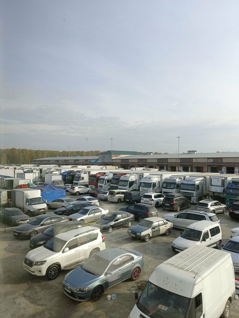 Toptan sebze ve meyve satışı Оптовый Фермерский комплекс, Çeliabinskaya oblastı, foto