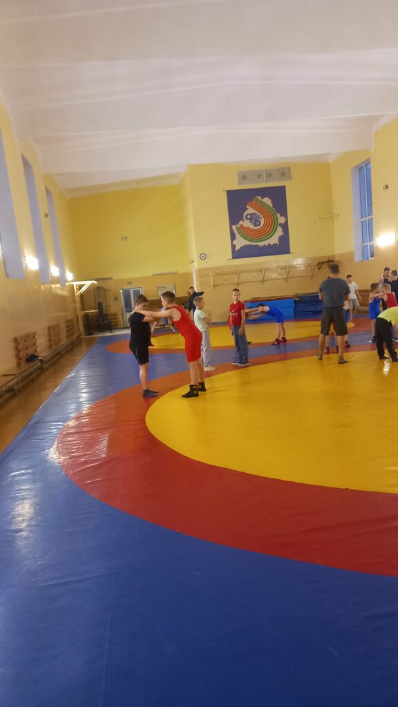 Spor okulları Витебская областная центральная СДЮШОР профсоюзов по борьбе Богатырь, Vitebsk, foto