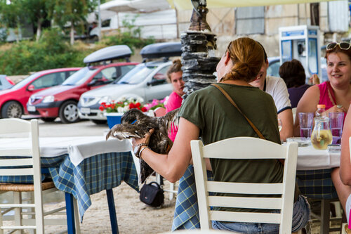 Kafe Ta Kymata fresh fish & seafood Taverna restaurant, Dünya, foto